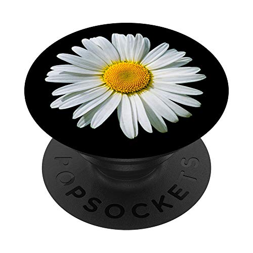 White Gerbera Daisy Flower Black Background PopSockets Swappable PopGrip