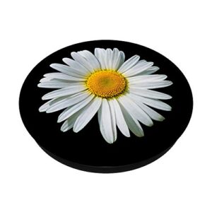 White Gerbera Daisy Flower Black Background PopSockets Swappable PopGrip