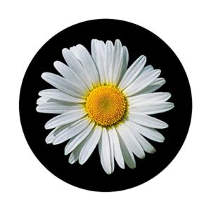 White Gerbera Daisy Flower Black Background PopSockets Swappable PopGrip