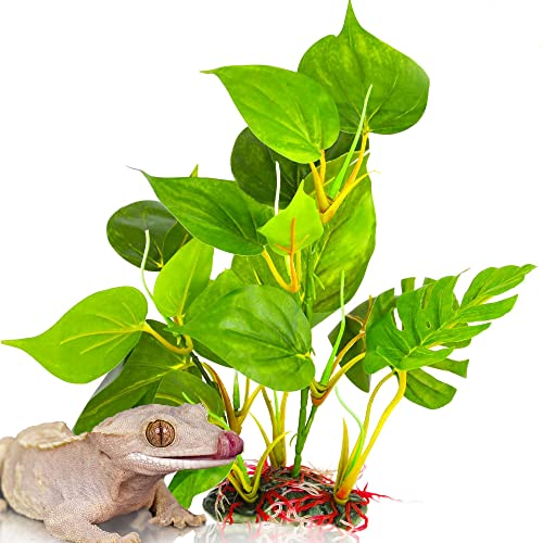 SunGrow Plastic Anubias Plant for Crested Gecko, 10 Inches Tall, 1Pc, Resin Base for Terrarium Decorations, Hiding Spot for Reptiles, Amphibians, Tank Accessories & Supplies