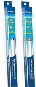 aqueon 2 pack of daylight t8 fluorescent aquarium lamps, 48 inch, enhance tropical fish and live plants