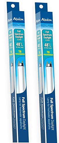 Aqueon 2 Pack of Daylight T8 Fluorescent Aquarium Lamps, 48 Inch, Enhance Tropical Fish and Live Plants