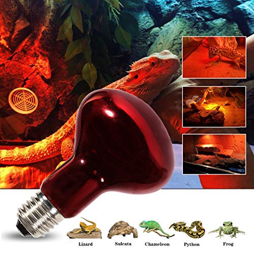 MCLANZOO 2 PCS 75W Reptile Heat Lamp Bulb Infrared Basking Light for Reptiles & Bearded Dragon Amphibian with Stick-on Digital Temperature Thermometer