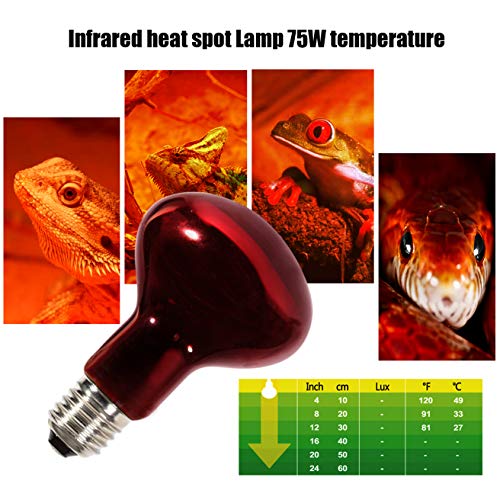 MCLANZOO 2 PCS 75W Reptile Heat Lamp Bulb Infrared Basking Light for Reptiles & Bearded Dragon Amphibian with Stick-on Digital Temperature Thermometer