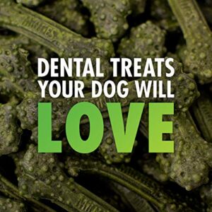 Minties VetIQ Dog Dental Bone Treats, Dental Chews for Medium/Large Dogs (Over 40 Lbs), 32 Ounces, Green, 40 Count