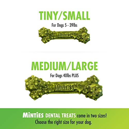 Minties VetIQ Dog Dental Bone Treats, Dental Chews for Medium/Large Dogs (Over 40 Lbs), 32 Ounces, Green, 40 Count