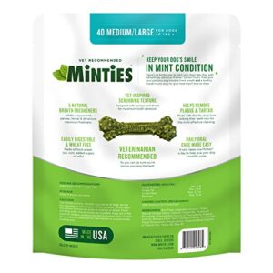 Minties VetIQ Dog Dental Bone Treats, Dental Chews for Medium/Large Dogs (Over 40 Lbs), 32 Ounces, Green, 40 Count