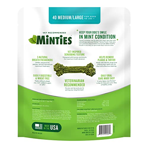 Minties VetIQ Dog Dental Bone Treats, Dental Chews for Medium/Large Dogs (Over 40 Lbs), 32 Ounces, Green, 40 Count