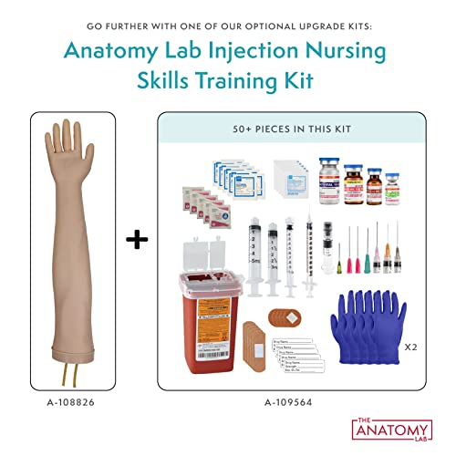 Anatomy Lab Premium IV and Venipuncture Training Kit, Practice Arm for Venipuncture Skills, Phlebotomy Practice, Clinical Nursing Training, 25+ Piece Kit, Durable & Realistic with 1 Year Warranty