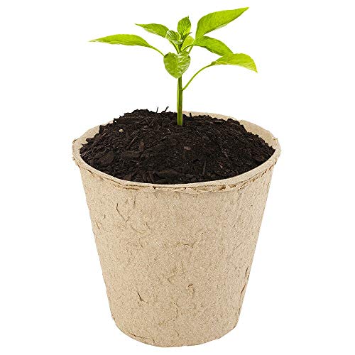 IAXSEE 100 Pack Peat Pots, Nursery Pots 3.15 Inch Starting Planter