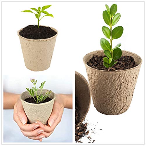 IAXSEE 100 Pack Peat Pots, Nursery Pots 3.15 Inch Starting Planter