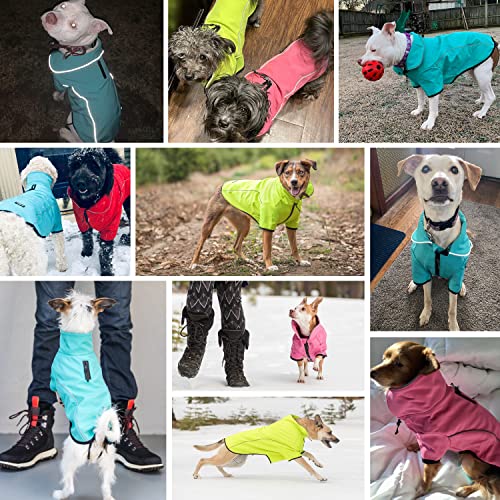 Blueberry Pet Windproof Waterproof Reflective Softshell Dog Jacket, Neon Yellow, Back Length 12.5", Size 10, Warm & Lightweight Winter Outdoor Windbreaker Coats Raincoats for Dogs