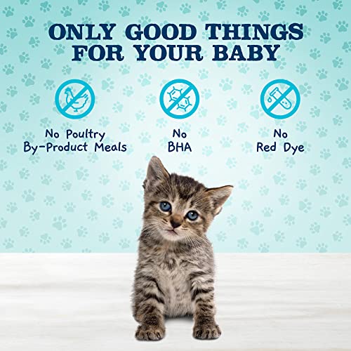 Blue Buffalo Baby BLUE Kitten Crunchies Grain Free, Natural Kitten Treats, Savory Salmon 2-oz Bag