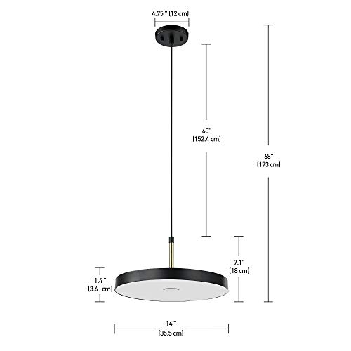 Globe Electric 60766 Novogratz x Globe Pendant, Matte Black with Brushed Brass