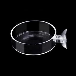 weaverbird 60mm aquarium shrimp feeder dish with suction glass fish tank feeding bowls round clear dishes tray