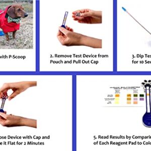 PawCheck UTI Test Kit for Dogs with Reusable P-Scoop Telescopic Urine Collector