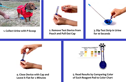 PawCheck UTI Test Kit for Dogs with Reusable P-Scoop Telescopic Urine Collector