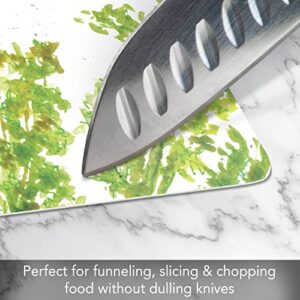 Cut N' Funnel Veggie Splash Designer Flexible Plastic Cutting Board Mat, 15" x 11.5", Made in the USA, Decorative, Flexible, Easy to Clean