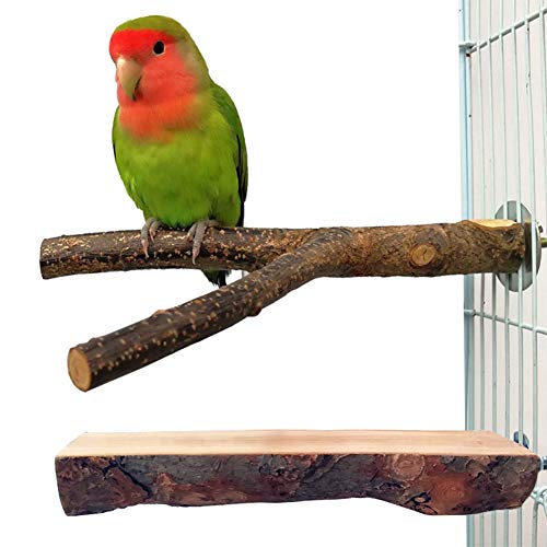 QUMY 2 Pack Parrot Bird Cage Perch Natural Wood Fork Stand Perch Wooden Platform for Parakeets Cockatiels Conures (2Pack)