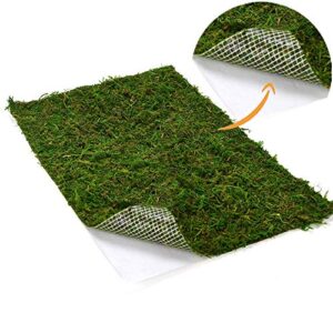 byher dried moss mat for wedding birthday party fairy garden decorations, dark green (green - 14" x 9")