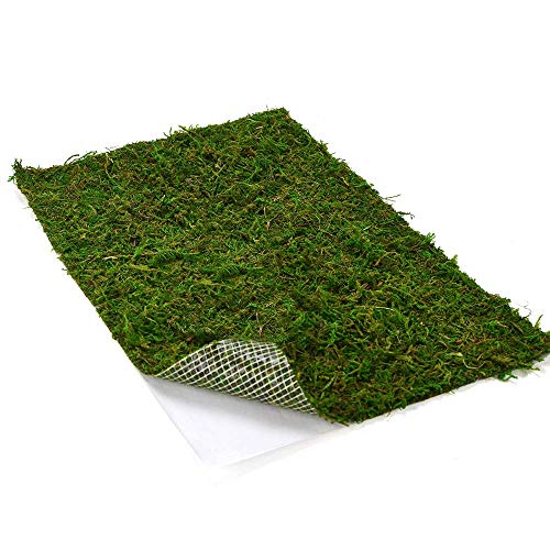 BYHER Dried Moss Mat for Wedding Birthday Party Fairy Garden Decorations, Dark Green (Green - 14" X 9")