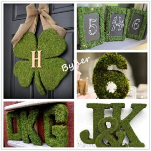 BYHER Dried Moss Mat for Wedding Birthday Party Fairy Garden Decorations, Dark Green (Green - 14" X 9")