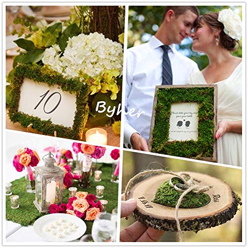 BYHER Dried Moss Mat for Wedding Birthday Party Fairy Garden Decorations, Dark Green (Green - 14" X 9")