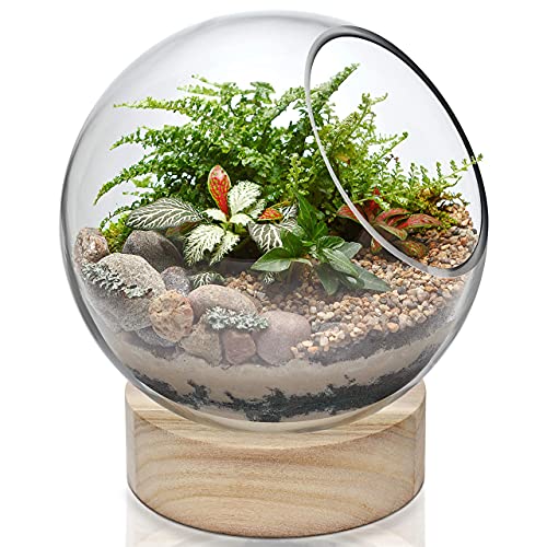 CYS EXCEL Glass Terrarium Candle Holder Bubble Bowl with Wood Base (H:8" W:6.5") | Unique Fish Bowl Aquarium with Wooden Stand | Plant Bubble Dome | Candy Bowl Storage Container