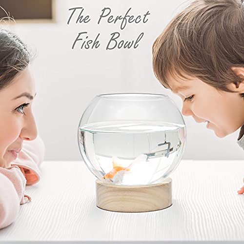 CYS EXCEL Glass Terrarium Candle Holder Bubble Bowl with Wood Base (H:8" W:6.5") | Unique Fish Bowl Aquarium with Wooden Stand | Plant Bubble Dome | Candy Bowl Storage Container