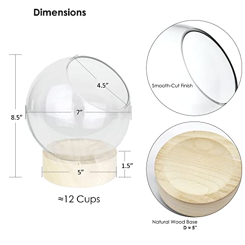 CYS EXCEL Glass Terrarium Candle Holder Bubble Bowl with Wood Base (H:8" W:6.5") | Unique Fish Bowl Aquarium with Wooden Stand | Plant Bubble Dome | Candy Bowl Storage Container