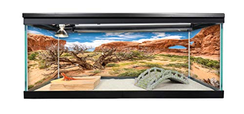 Reptile Habitat Background; Double Arch with Tree for 20L, 3-Sided Wraparound