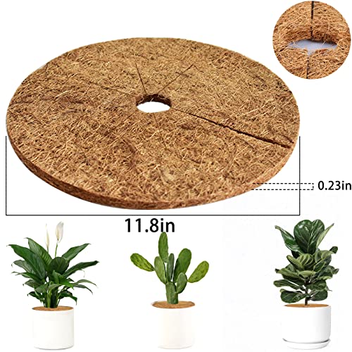 ZeeDix 3 Pcs Coconut Fibers Mulch Ring Tree Protector Mat,11.8 Inch 100% Natural Coco Coir Tree Protection,Tree Ring Mats Tree Disc Plant Cover for Indoor or Outdoor