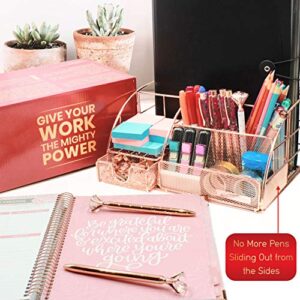 OFFICE ALMIGHTY Rose Gold Desk Organizer for Women: Exclusive Large 6 in 1 Mesh Metal Supplies Organizer with Pen Holders, Folder Holder & Accessories Drawer + BONUS 171 Clips Set w/ a Plastic Box