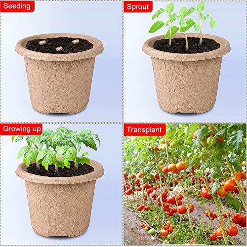 ANGTUO Grow Healthy Plants 30 Pcs Eco-Friendly Peat Pots for Seedlings - 4.33 Inch Biodegradable Seed Starter Pots with Drainage Holes and 20 Plant Labels