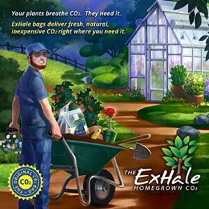 The Exhale Homegrown CO2 - Premixed Ready to Use Bag for Grow Rooms & Tents with Hanger & Twin Canaries Chart