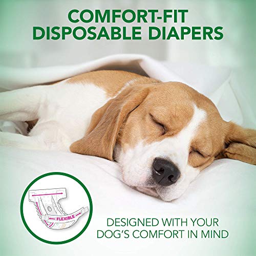 Vet's Best Comfort Fit Dog Diapers | Disposable Female Dog Diapers | Absorbent with Leak Proof Fit | Large/X-Large, 30 Count