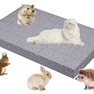 Litewoo Rabbit Scratching Board Pet Molars and Paws Lava Pumice Small Animal Foot Pads for Guinea Pig Ferrets Hedgehog Chinchilla Rabbit