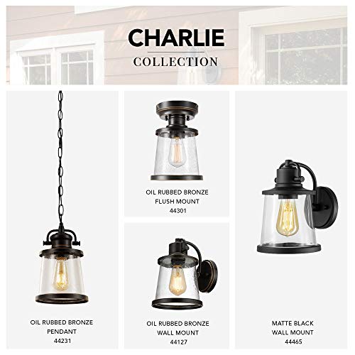 Globe Electric 44465 Charlie, Black