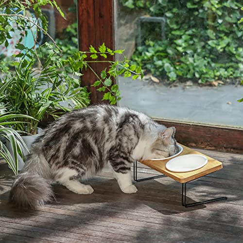 FUKUMARU Elevated Cat Ceramic Bowls, Small Dog 15° Tilted Raised Food Feeding Dishes, Solid Bamboo Water Stand Feeder Set for Cats and Puppy