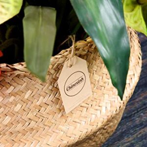 Chinoxinh Seagrass Woven Belly Basket with Handles - Multipurpose Handmade Wicker Rural Storage for Plant, Pot Decor, Laundry, Clothes, Blanket, Grocery and Outdoor Picnic (Original XXX-Large 14x16in)