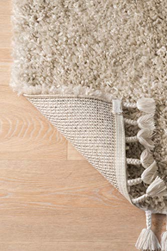 nuLOOM Neva Modern Tasseled Shag Accent Rug, 2' x 3', Beige