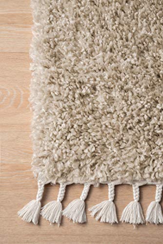 nuLOOM Neva Modern Tasseled Shag Accent Rug, 2' x 3', Beige