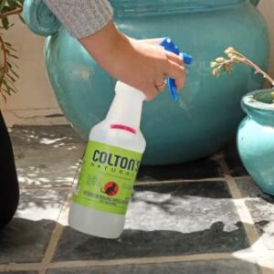 Cat Repellent Outdoor Spray Indoor 32 OZ 100% Organic & Natural Yard Furniture Repellant (32)