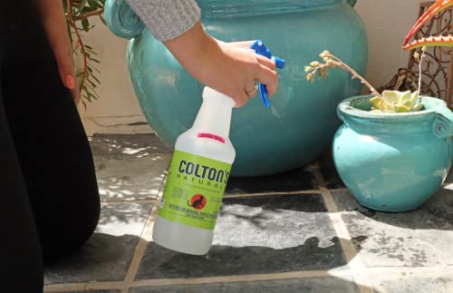 Cat Repellent Outdoor Spray Indoor 32 OZ 100% Organic & Natural Yard Furniture Repellant (32)