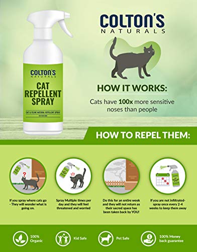 Cat Repellent Outdoor Spray Indoor 32 OZ 100% Organic & Natural Yard Furniture Repellant (32)