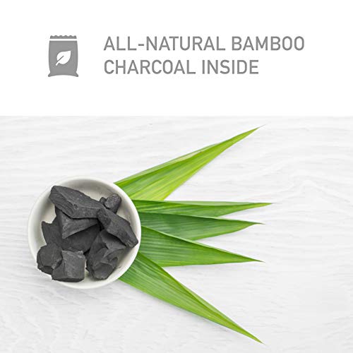 PureGuardian CB500 Bamboo Charcoal 500g Air Purifying Bag Gray / 2-Pack