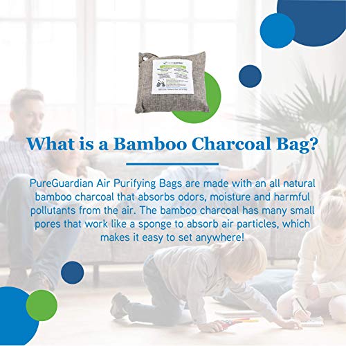 PureGuardian CB500 Bamboo Charcoal 500g Air Purifying Bag Gray / 2-Pack