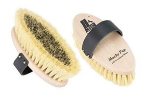 william leistner premium quality natural bristle horse grooming brush mucky