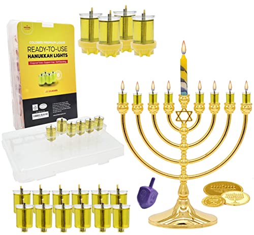 Hanukkah Pre-Filled Olive Oil Glass Cup Candles, 2.5 Hours, 100 Percent Olive Oil Pre-Filled Ready to Use - 44 Cups for All 8 Nights of Hanukkah