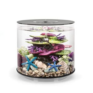 tube 15 aquarium with standard light - 4 gallon, black